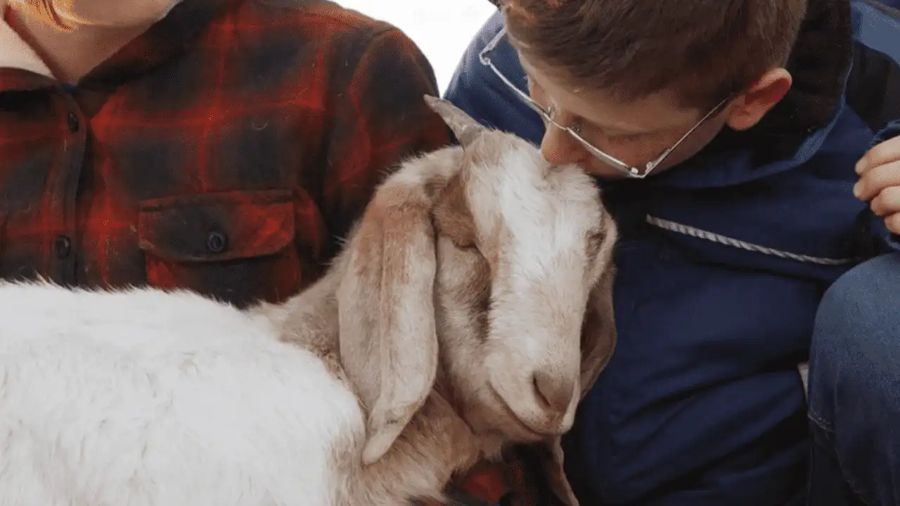 Watch The Wizard of Paws 2 Episode 10: Hope - BYUtv