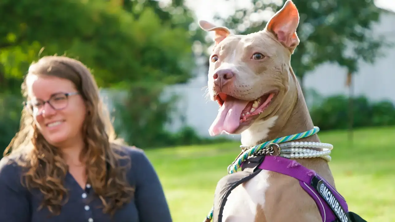 Ready, Set, Hanabi! - BYUtv