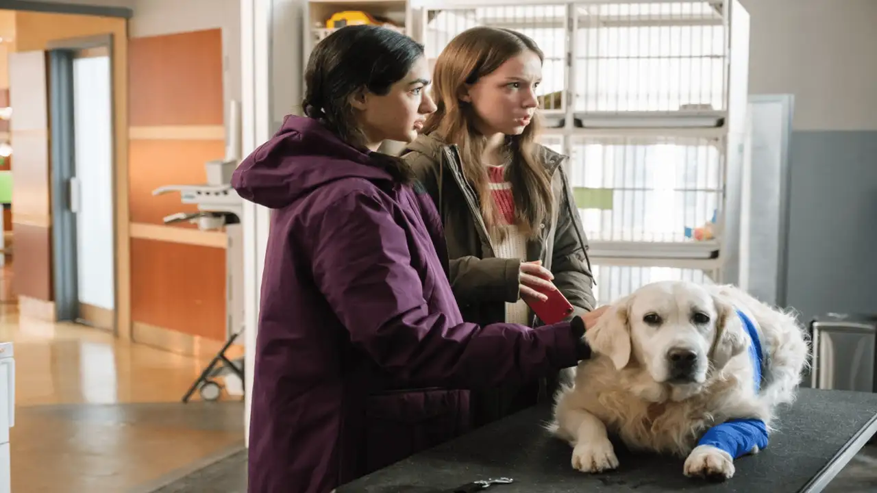 I Wish I Could Find Her - BYUtv