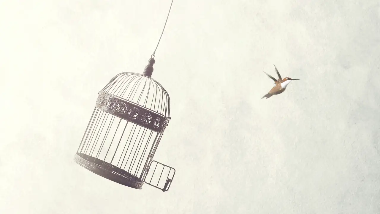 Being Set Free - BYUradio