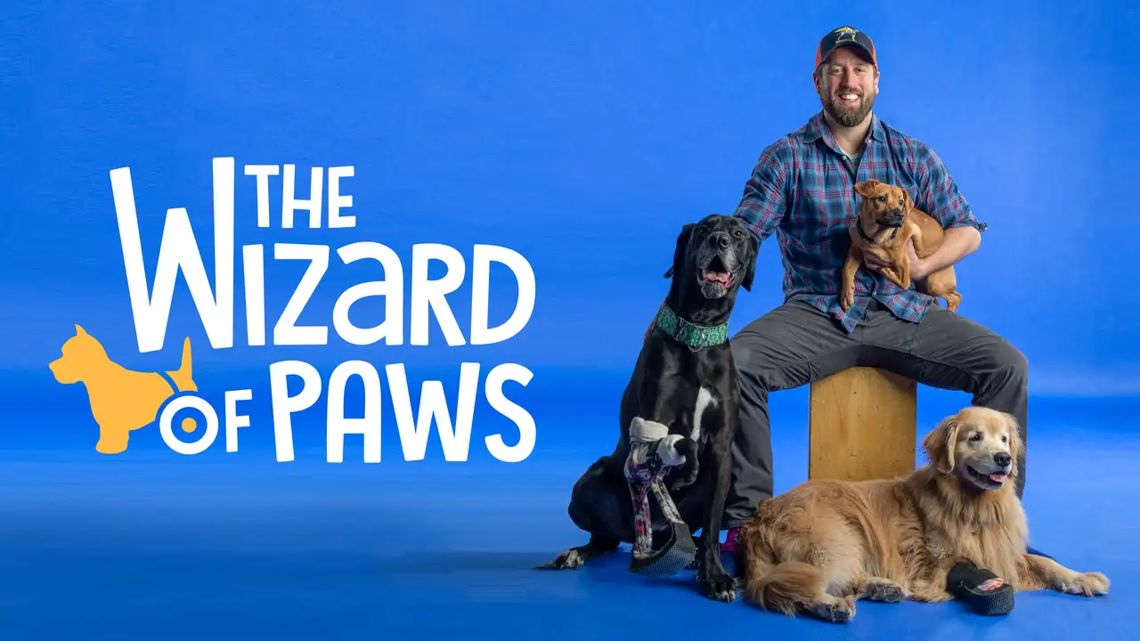 Season 6 - The Wizard of Paws - BYUtv