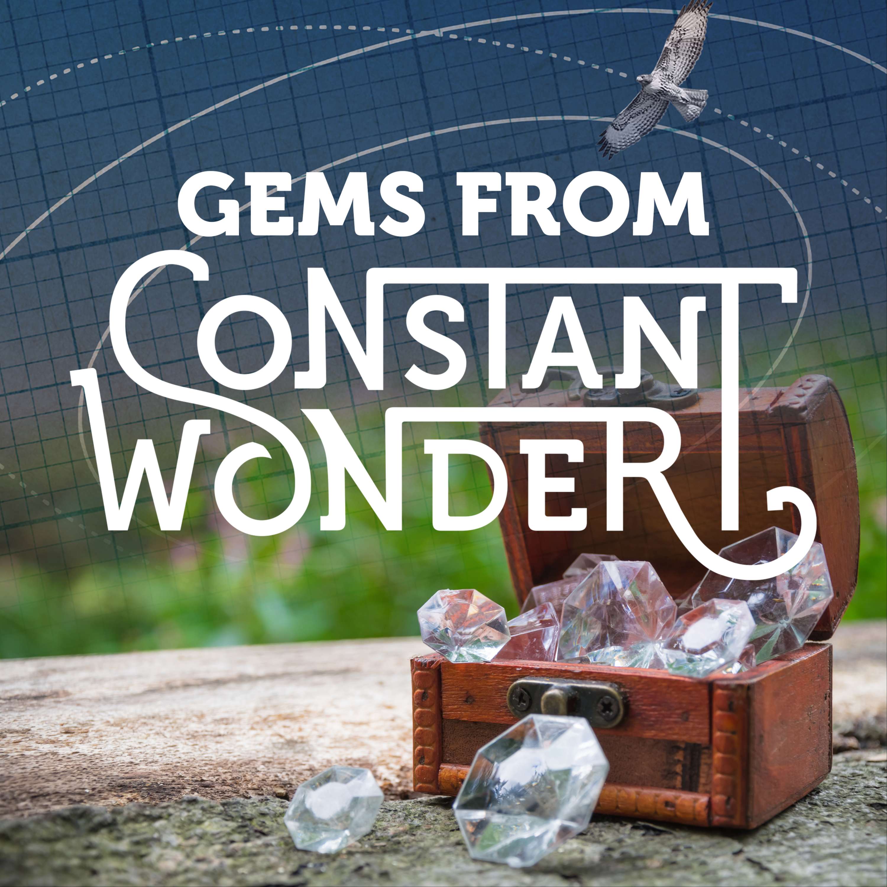 Gems from Constant Wonder: Adventures in Nature - Constant Wonder ...