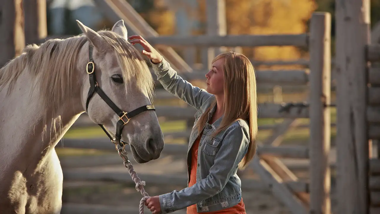 Watch Heartland 2 Episode 3: Gift Horse - BYUtv